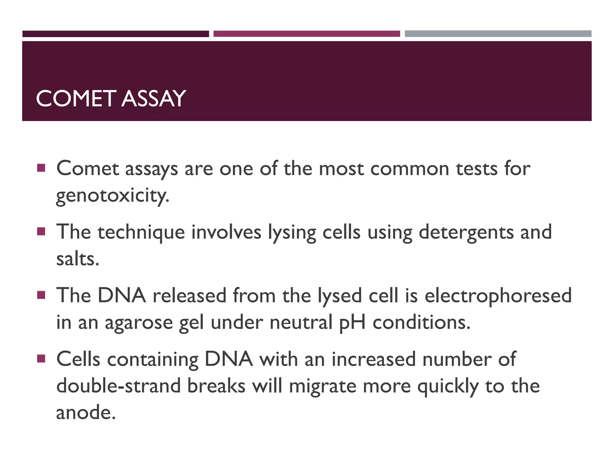 Mutagenesis and genetic toxicology | PDF