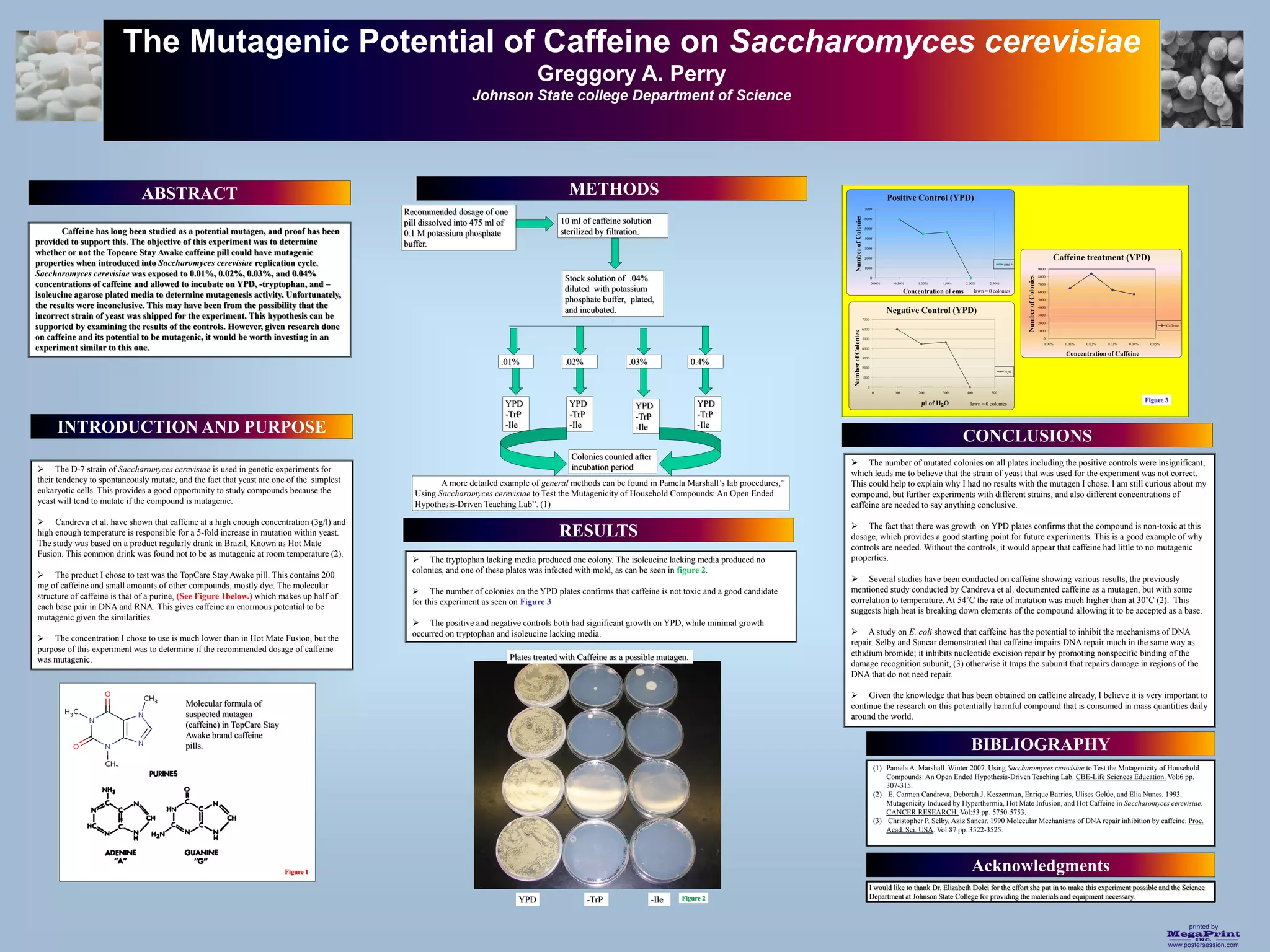 Mutagenesis Poster | PDF