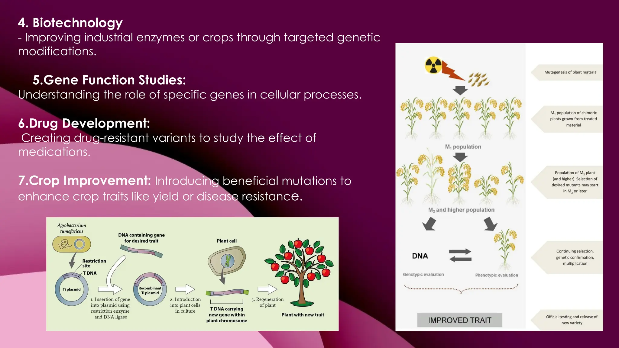Mutagenesis - A powerful tool in molecular biology | PPT