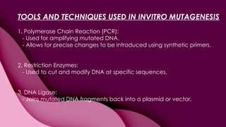 Mutagenesis - A powerful tool in molecular biology | PPT