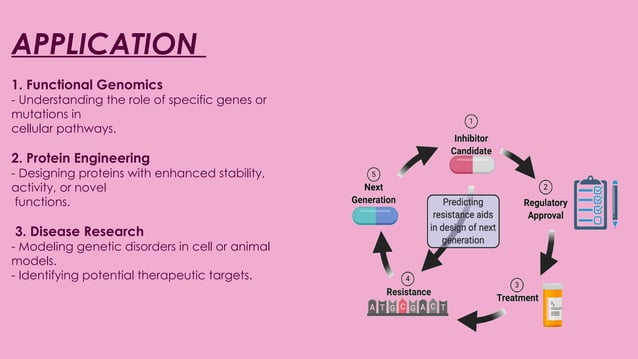 Mutagenesis - A powerful tool in molecular biology | PPT
