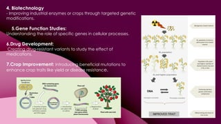 Mutagenesis - A powerful tool in molecular biology | PPTX