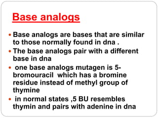 Mutagenic agent and their role in biology.pptx