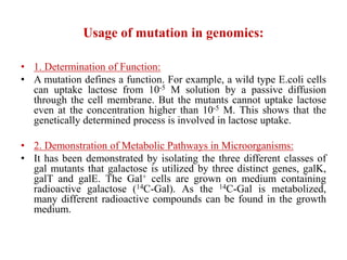 Mutagenic effect in genomics | PPTX
