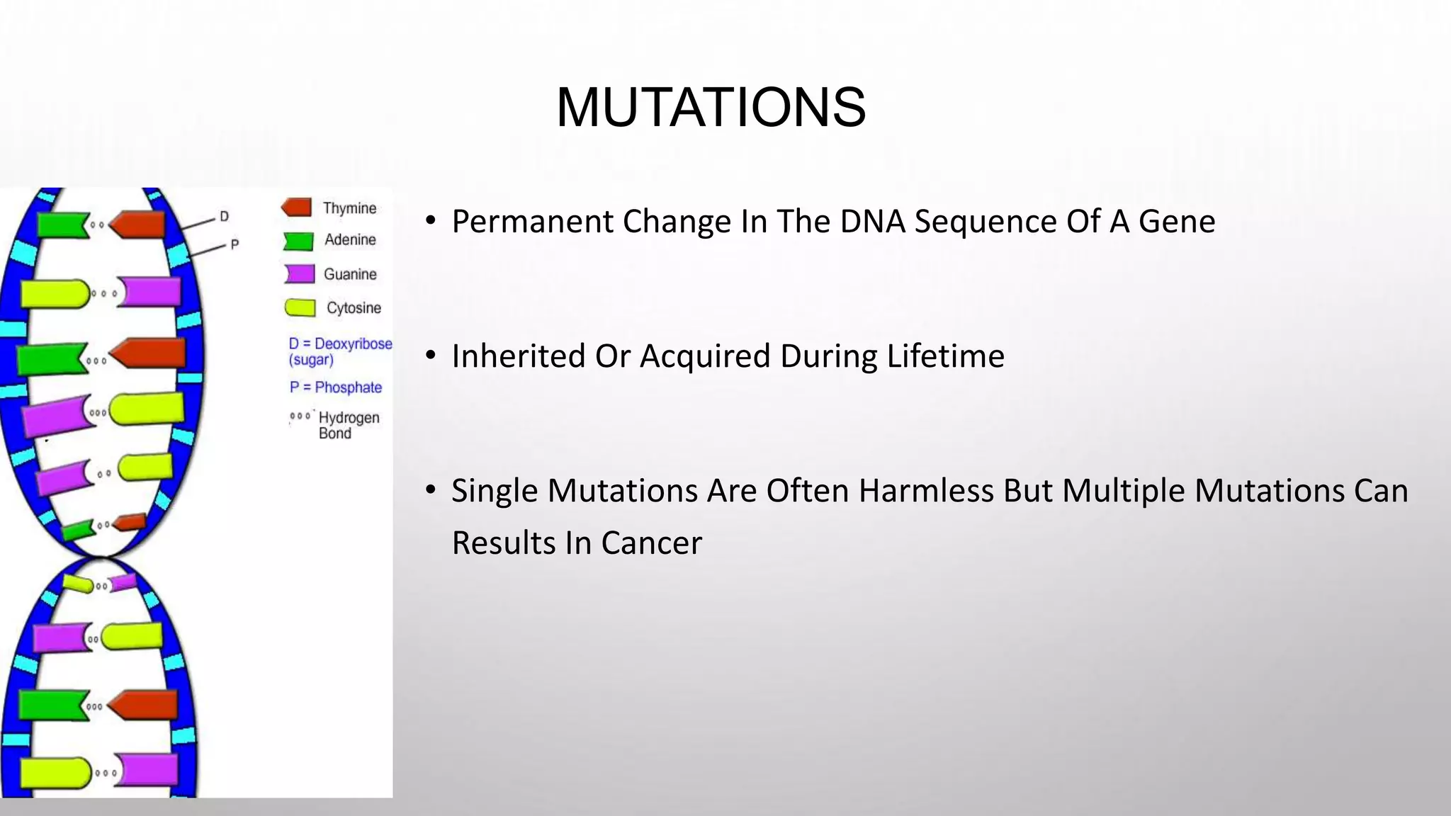 Mutagenicity & Carcinogenecity.pptx