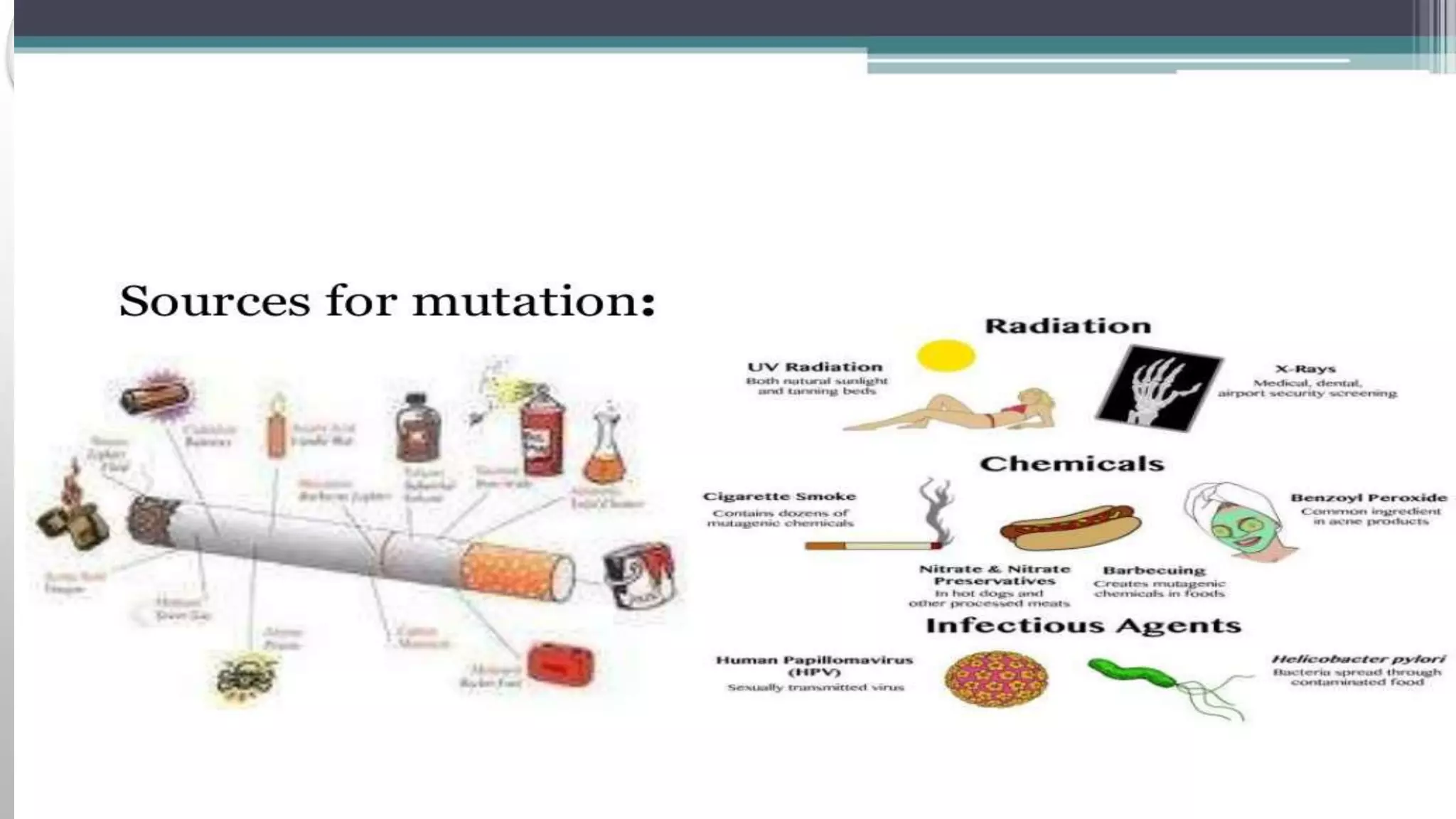 Mutagenicity & Carcinogenecity.pptx