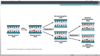 Mutagenicity & Carcinogenecity.pptx