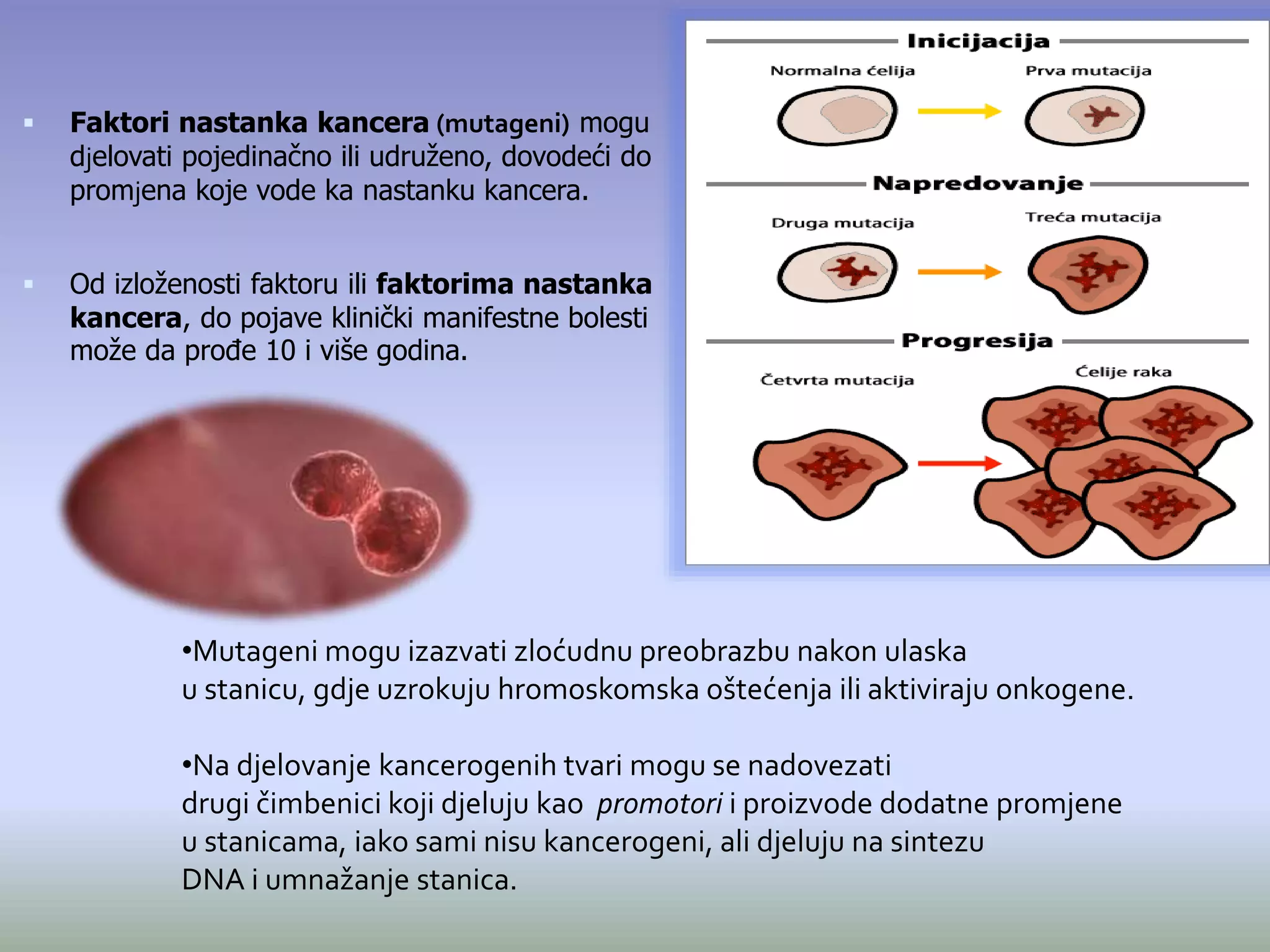 Mutageni faktori okoline | PPTX