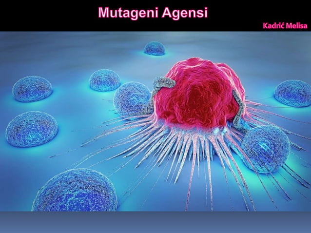 Mutageni faktori okoline | PPTX