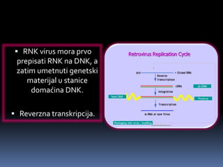 Mutageni faktori okoline | PPTX