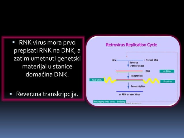 Mutageni faktori okoline | PPTX