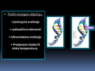 Mutageni faktori okoline | PPTX