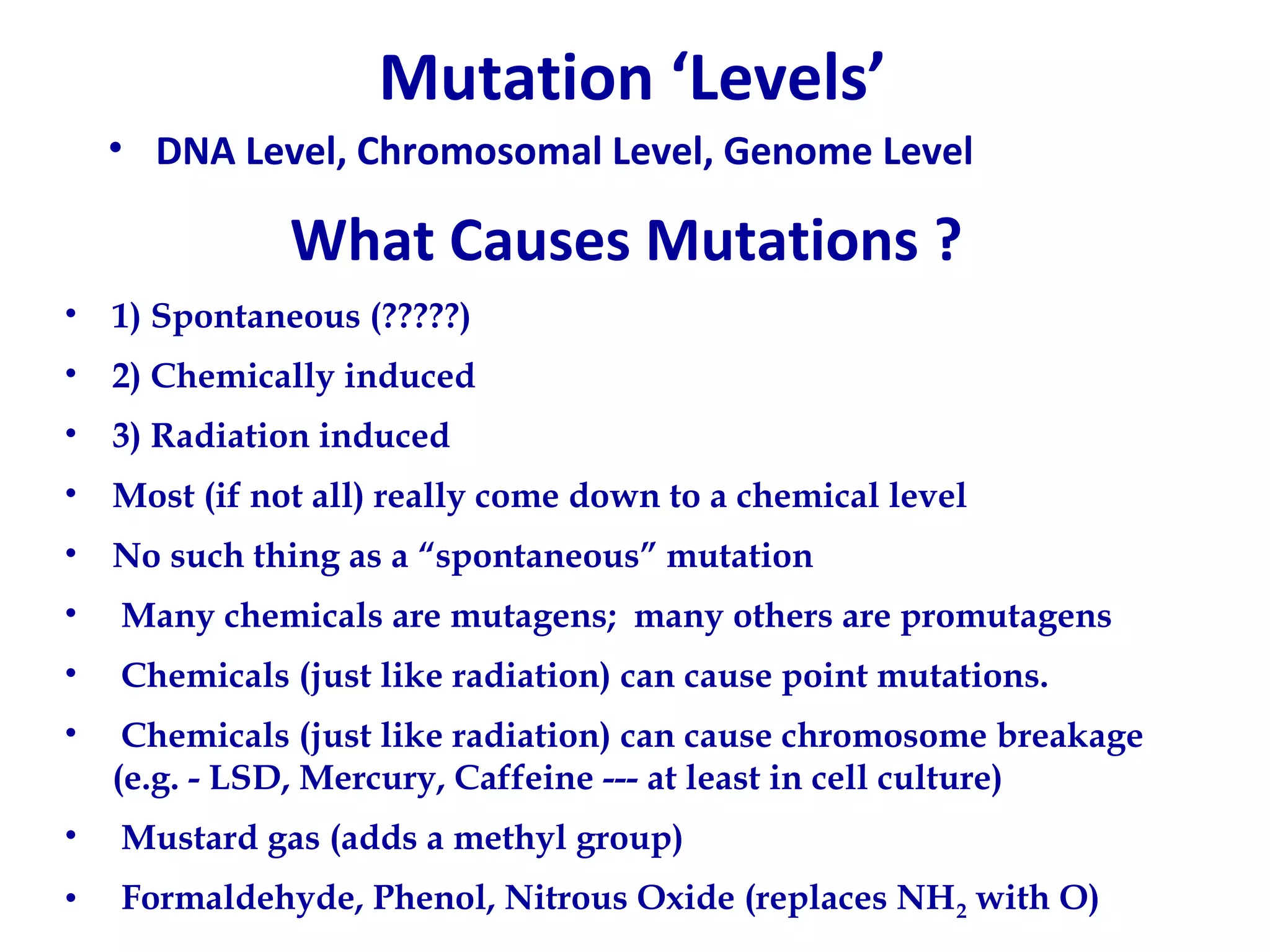 Mutagens and carcinogen | PPT