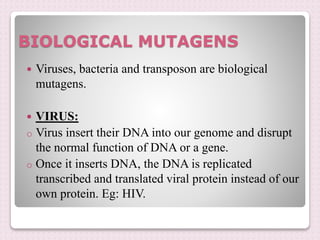 Mutagens, types of mutations | PPTX