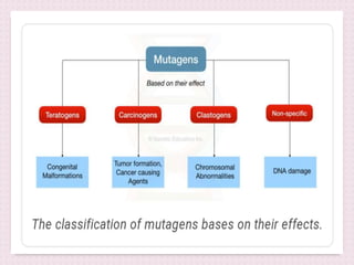 Mutagens, types of mutations | PPTX