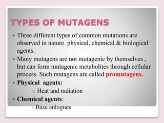 Mutagens, types of mutations | PPTX