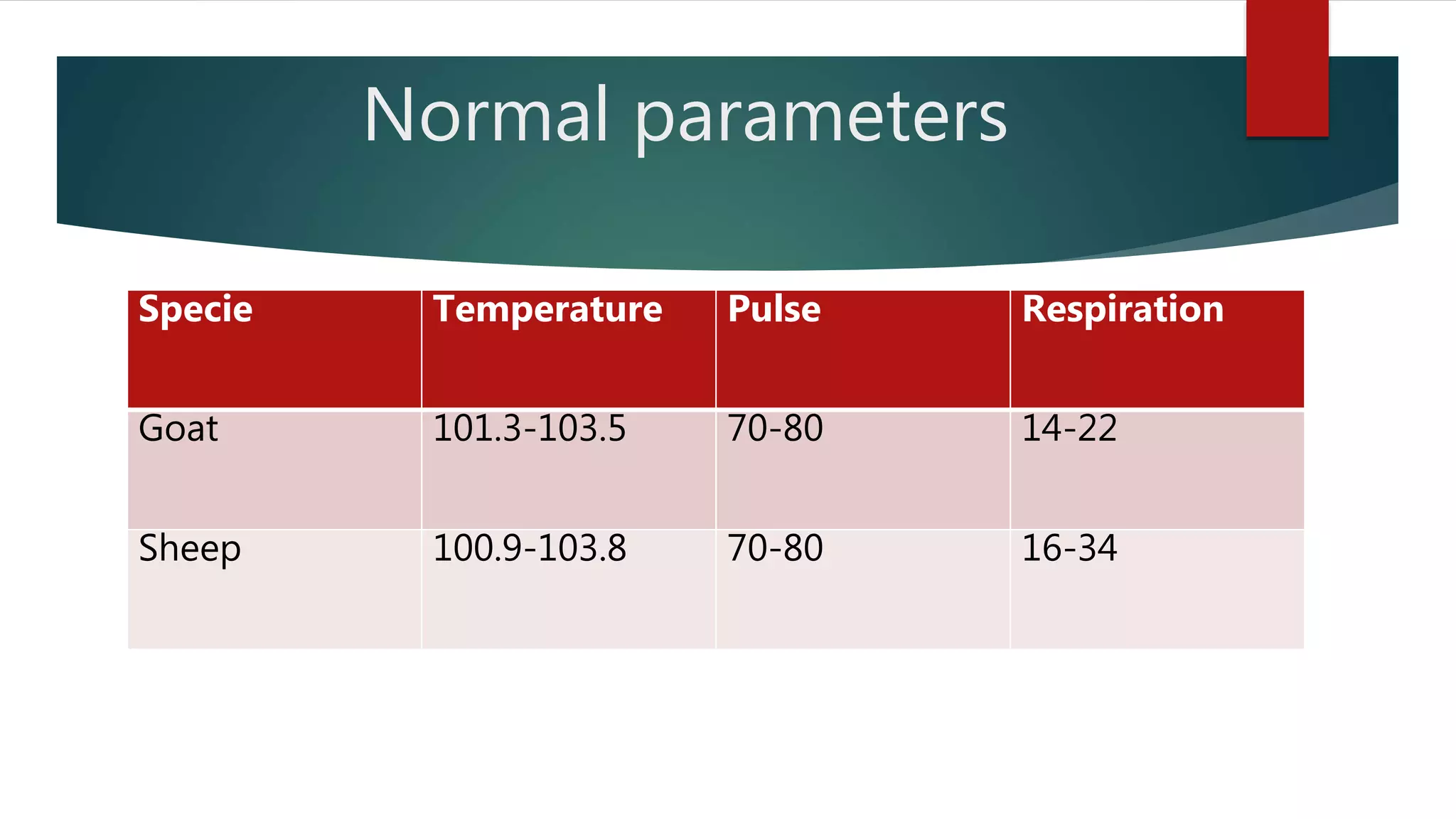 different sites for taking pulse and respiration in sheep | PPTX