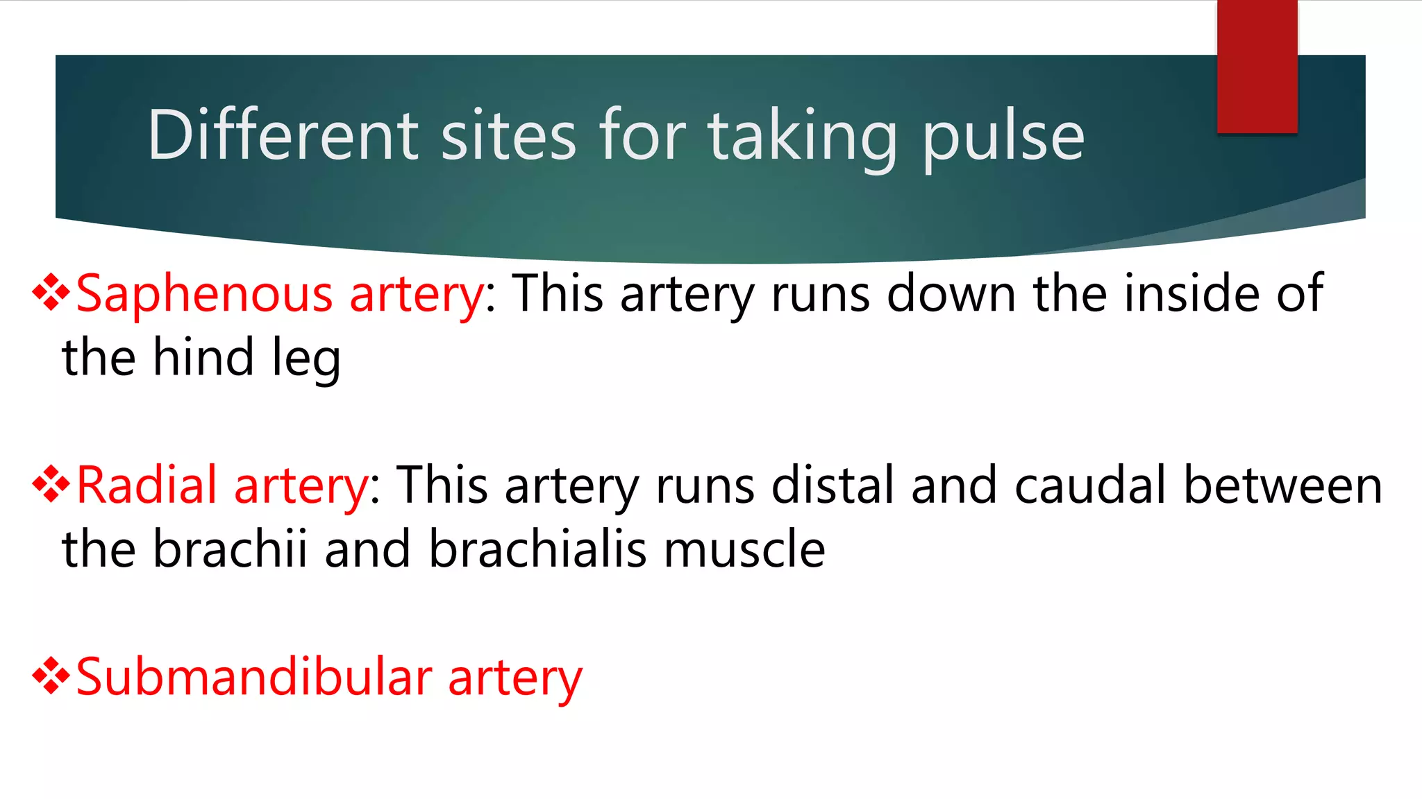 different sites for taking pulse and respiration in sheep | PPTX