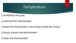 different sites for taking pulse and respiration in sheep | PPTX
