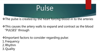different sites for taking pulse and respiration in sheep | PPTX