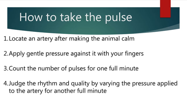 different sites for taking pulse and respiration in sheep | PPTX ...