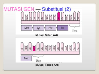 Mutasi, Pengertian, Penyebab, Jenis, dan Contoh | PPT