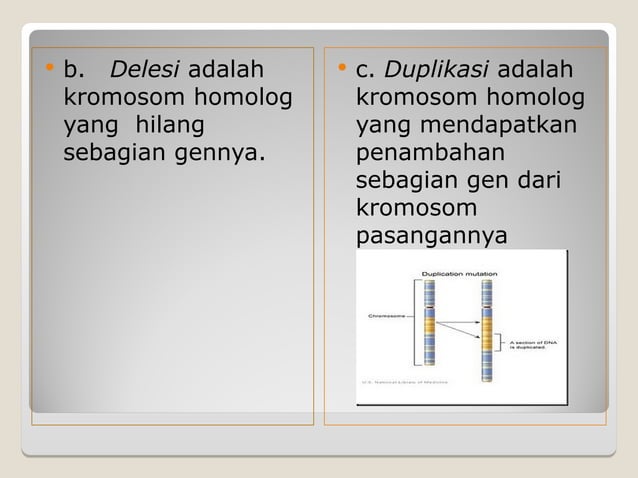 Mutasi, Pengertian, Penyebab, Jenis, dan Contoh | PPT