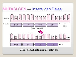 Mutasi, Pengertian, Penyebab, Jenis, dan Contoh | PPT