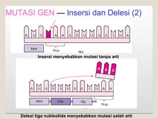 Mutasi, Pengertian, Penyebab, Jenis, dan Contoh | PPT