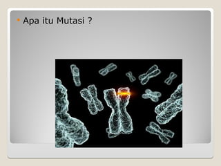 Mutasi, Pengertian, Penyebab, Jenis, dan Contoh | PPT