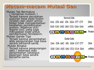 Mutasi, Pengertian, Penyebab, Jenis, dan Contoh | PPT
