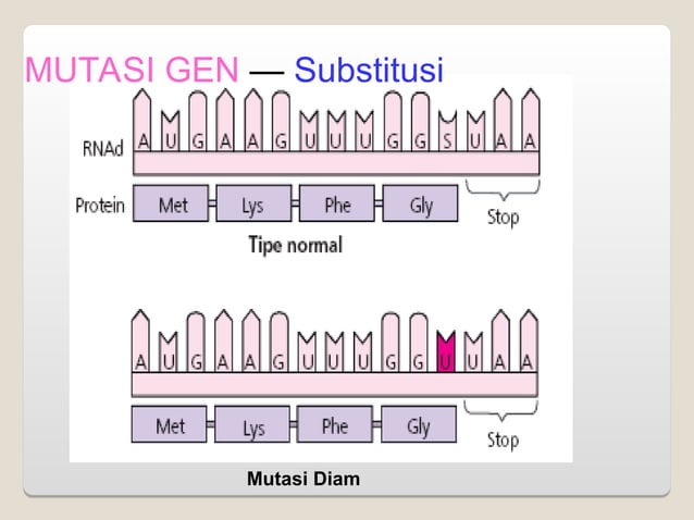Mutasi, Pengertian, Penyebab, Jenis, dan Contoh | PPT