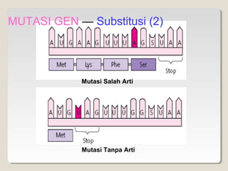 Mutasi | PPT