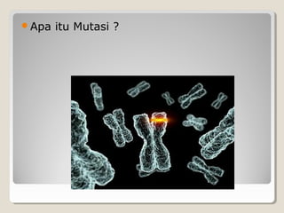 Mutasi | PPT