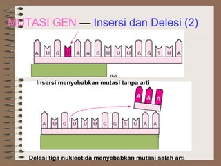 Mutasi | PPT