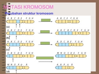 Mutasi | PPT
