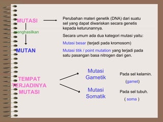 Mutasi | PPT
