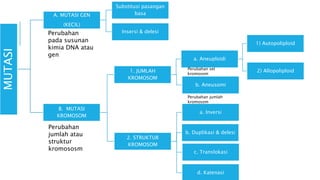 Mutasi | PPTX