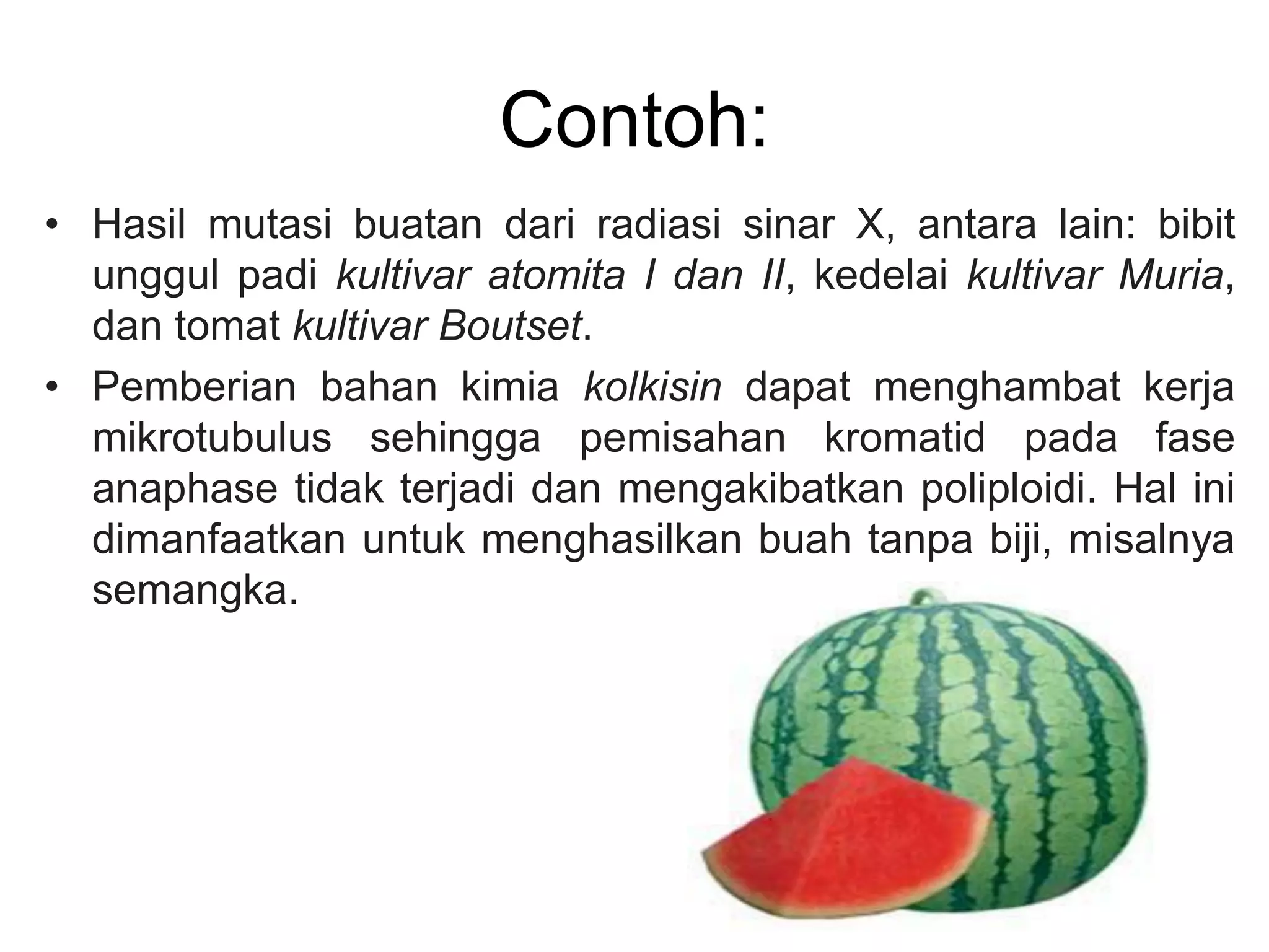 Materi mutasi kelas XII | PDF