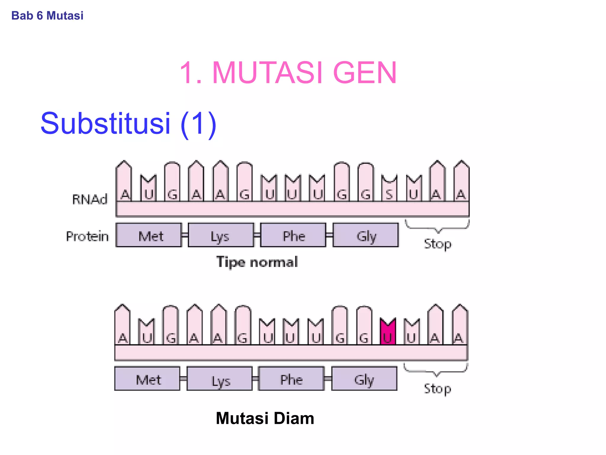 Materi mutasi kelas XII | PDF