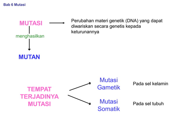 Materi mutasi kelas XII | PDF