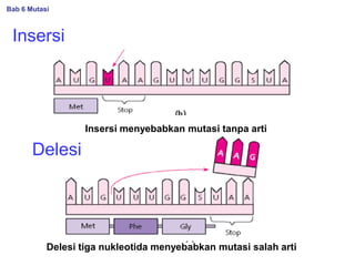 Materi mutasi kelas XII | PDF