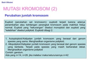 Materi mutasi kelas XII | PDF