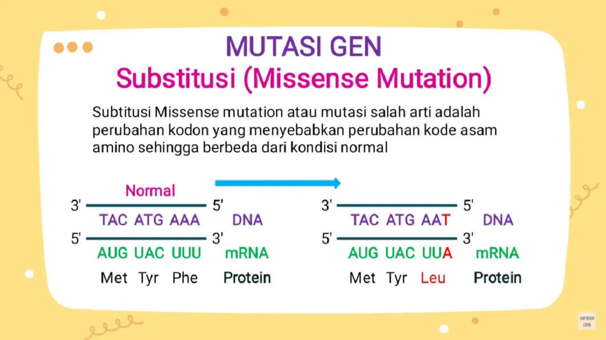 BIOLOGI BAB. MUTASI MATERI KELAS XII SMA | PPTX