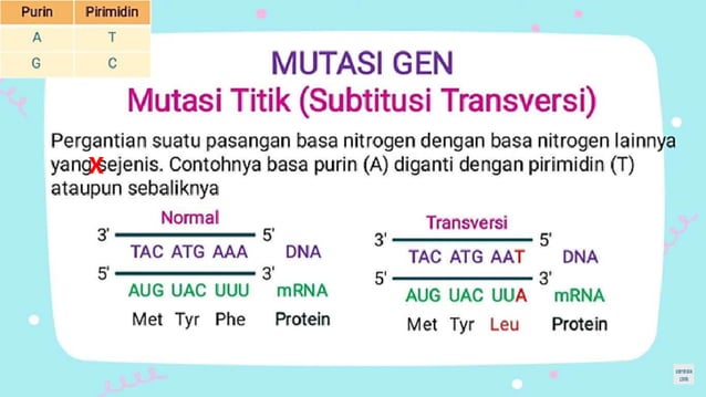 BIOLOGI BAB. MUTASI MATERI KELAS XII SMA | PPTX