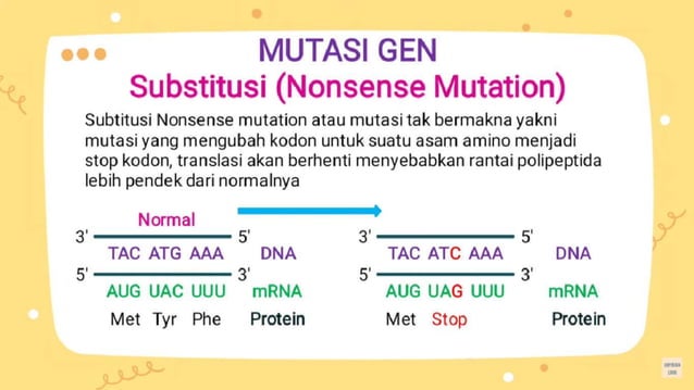BIOLOGI BAB. MUTASI MATERI KELAS XII SMA | PPTX