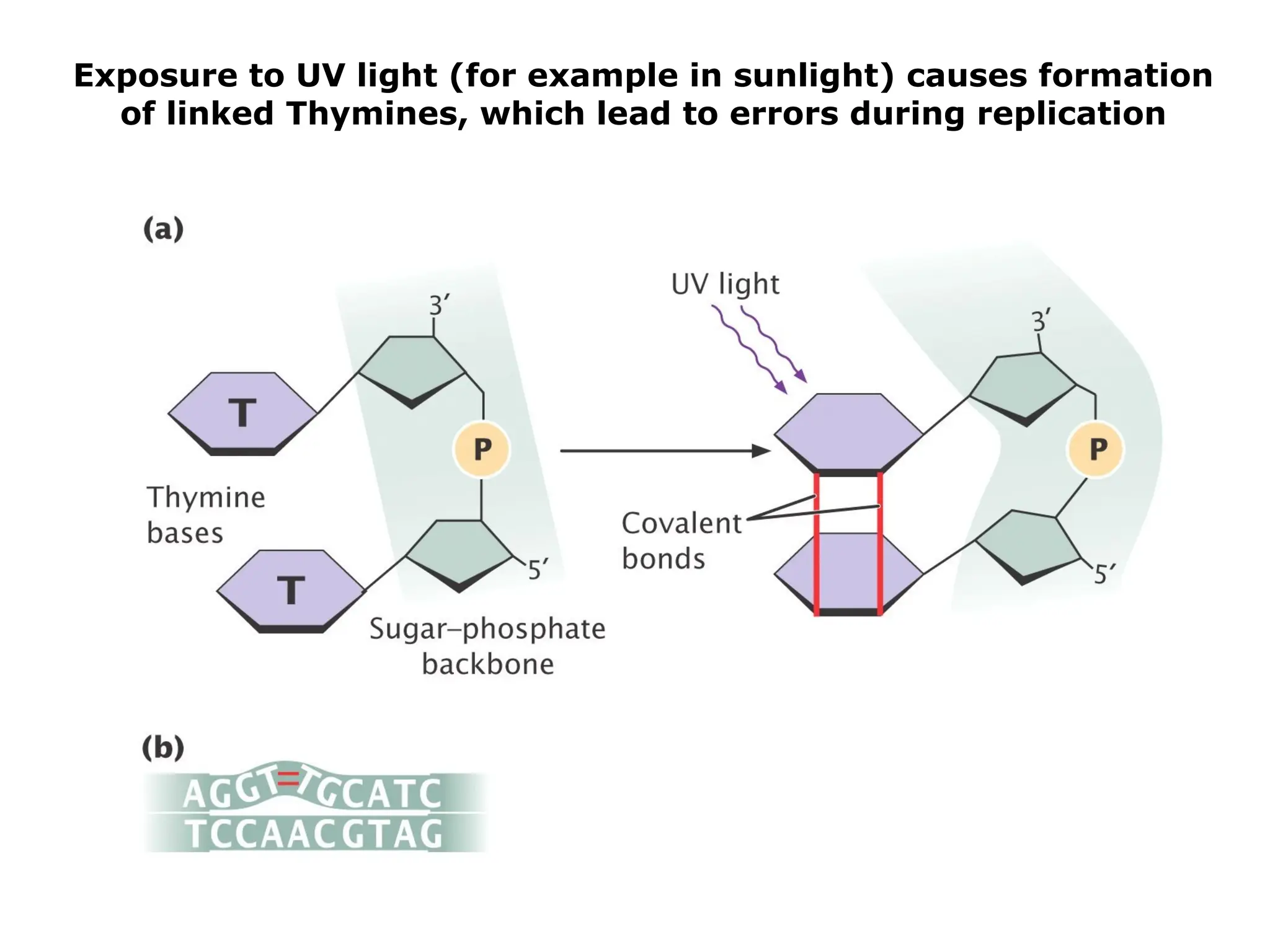 MUTASI DAN JENISNYA, INSERSI, DELESI .pptx