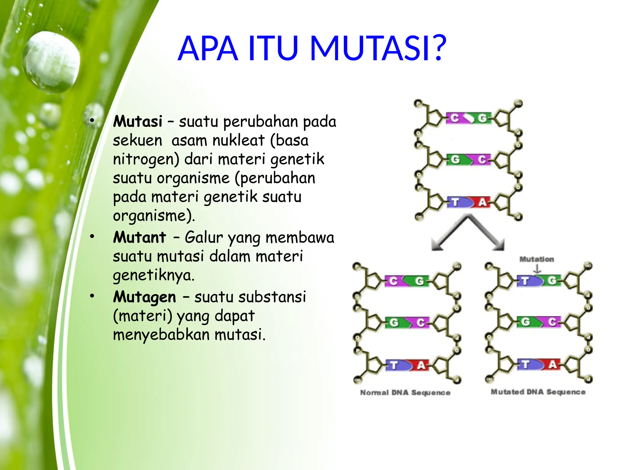 MUTASI DAN JENISNYA, INSERSI, DELESI .pptx