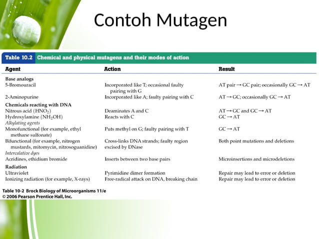 MUTASI DAN JENISNYA, INSERSI, DELESI .pptx