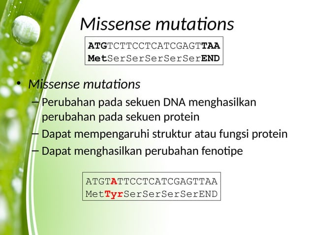 MUTASI DAN JENISNYA, INSERSI, DELESI .pptx